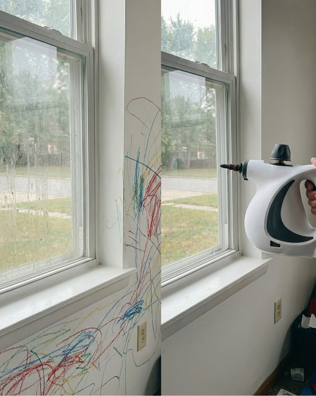 Steam Cleaner – Sniggo